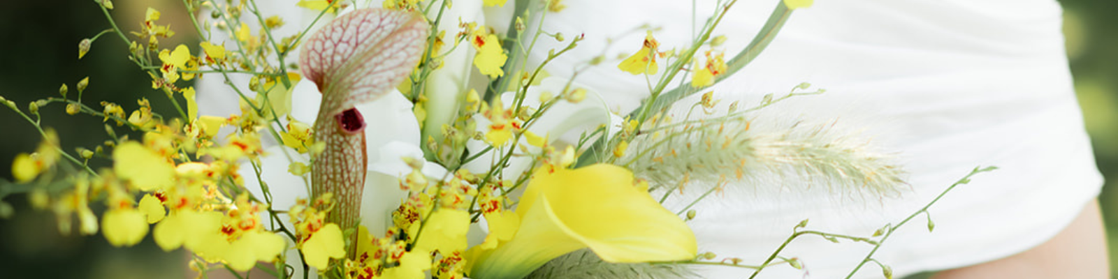 HILARY + CAMERON – La Bomba Floristry