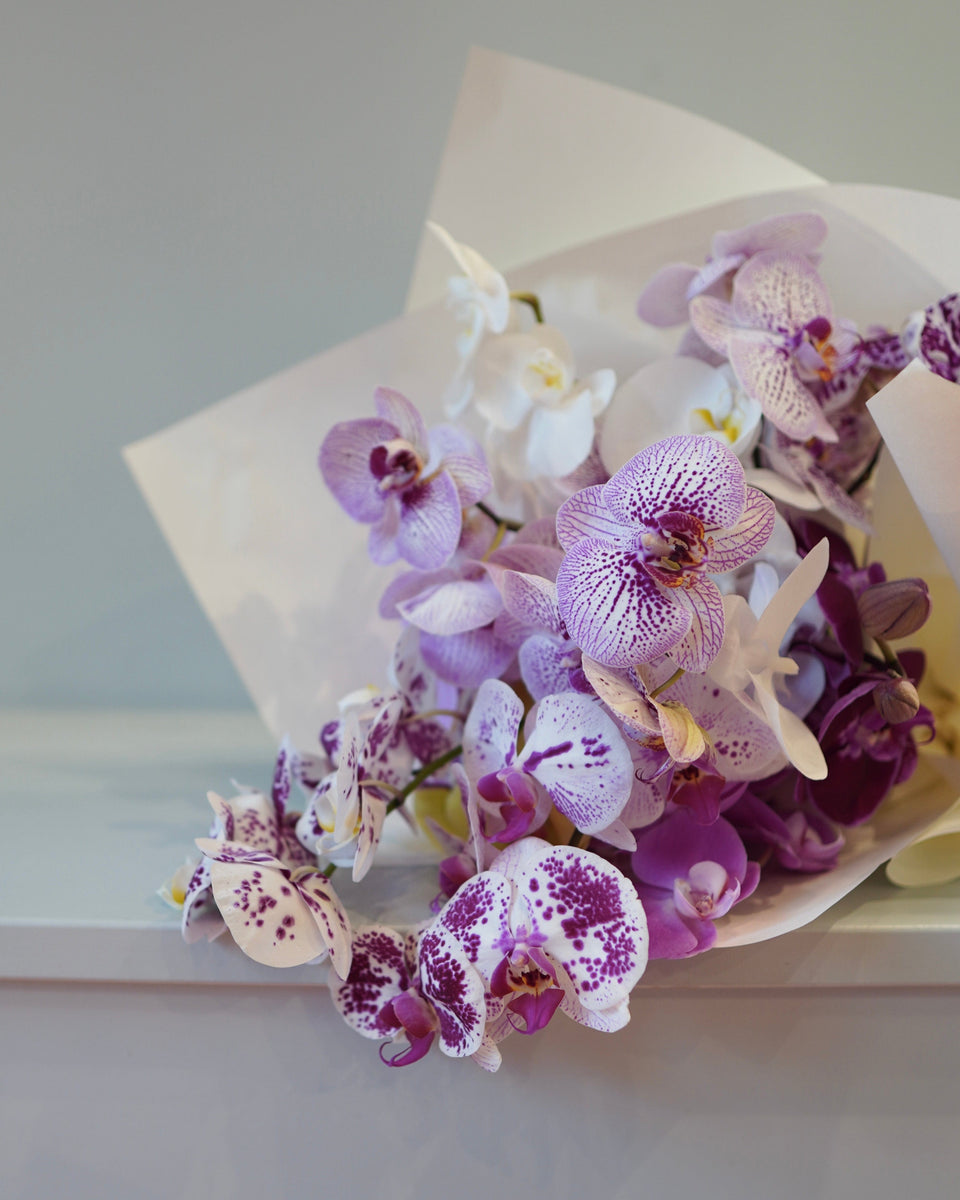 SINGLE SPECIES — Orchids – La Bomba Floristry